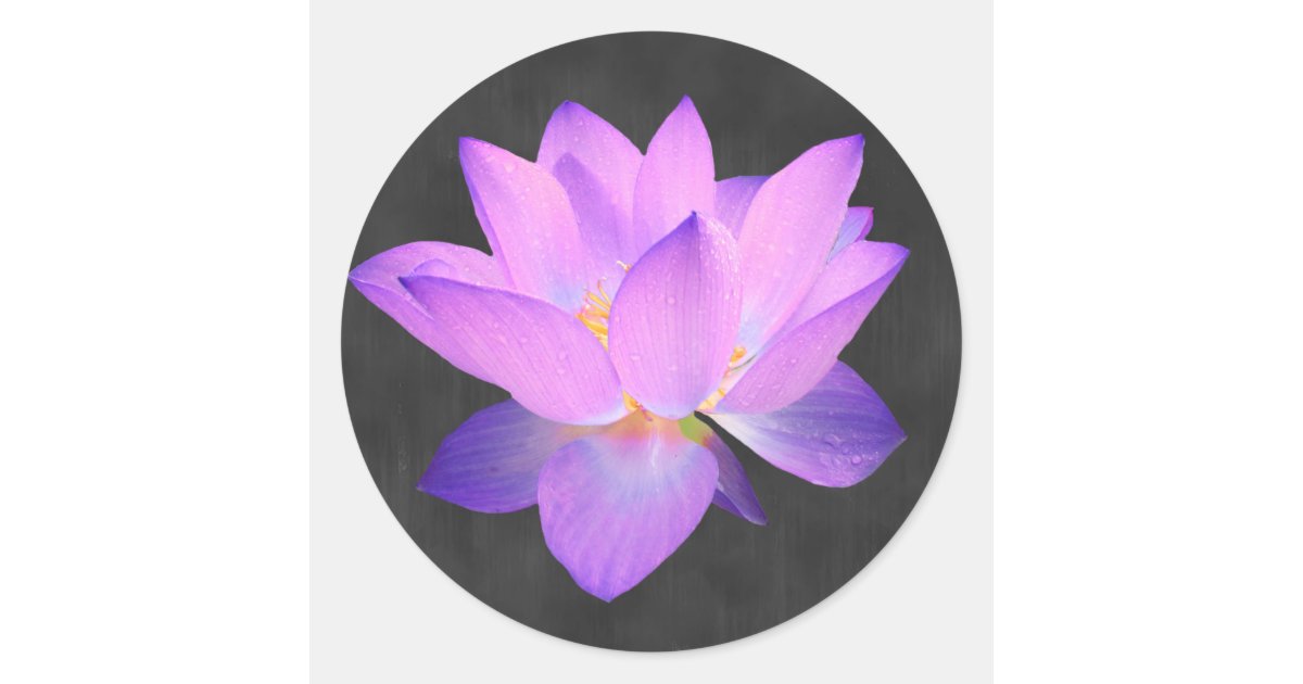 Elegant Purple Lotus Sticker | Zazzle