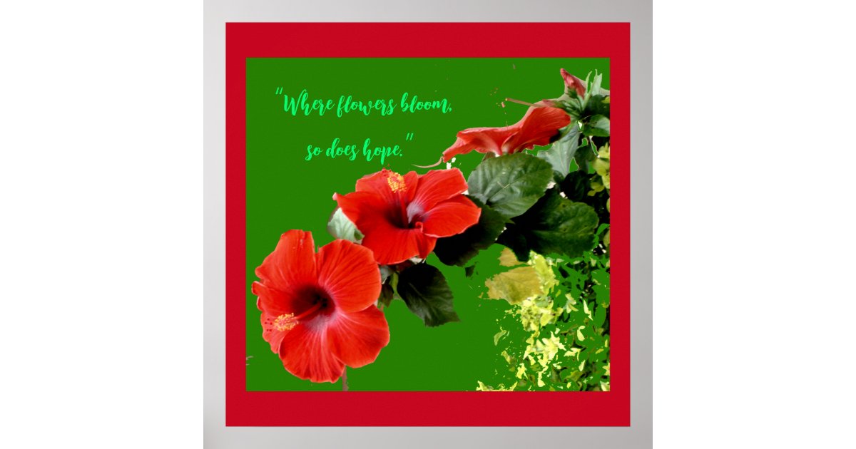 Elegant Red Hibiscus Custom Flower Quote Gardeners Poster | Zazzle