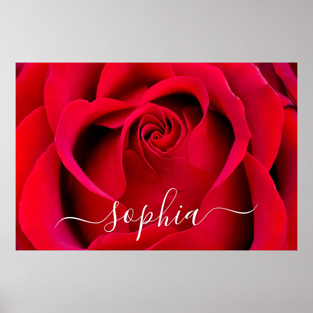 Elegant Red Rose Flower Photo Add Name Poster | Zazzle