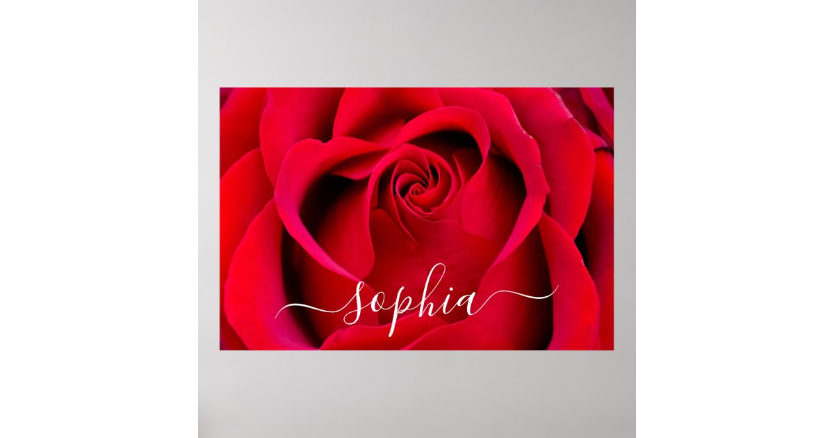Elegant Red Rose Flower Photo Add Name Poster | Zazzle