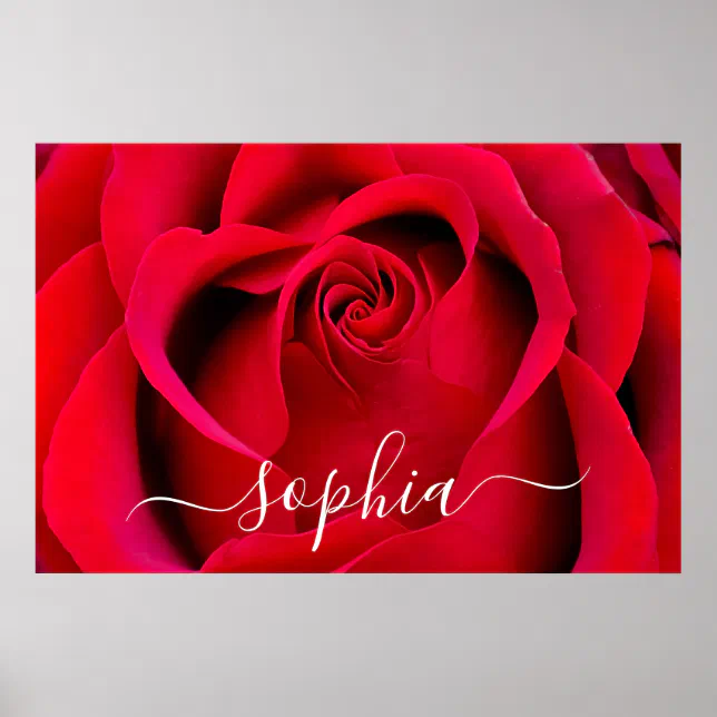 Elegant Red Rose Flower Photo Add Name Poster | Zazzle