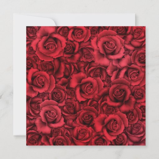 Elegant Red Rose Funeral Announcement | Zazzle