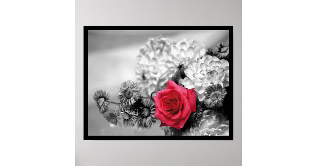 Elegant Red Rose Poster | Zazzle