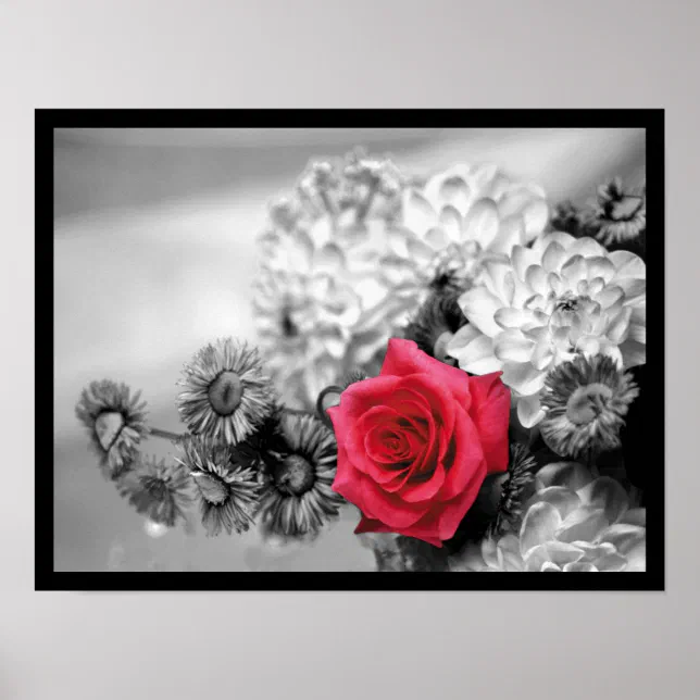 Elegant Red Rose Poster | Zazzle