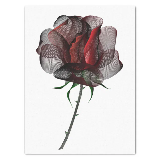 Elegant Rose Black Red White Floral Moiré Minimal Tissue Paper | Zazzle