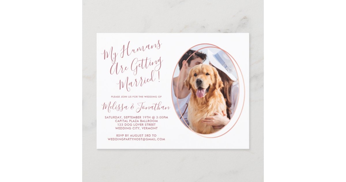 Elegant Rose Gold Custom Pet Photo Dog Wedding Invitation Postcard | Zazzle