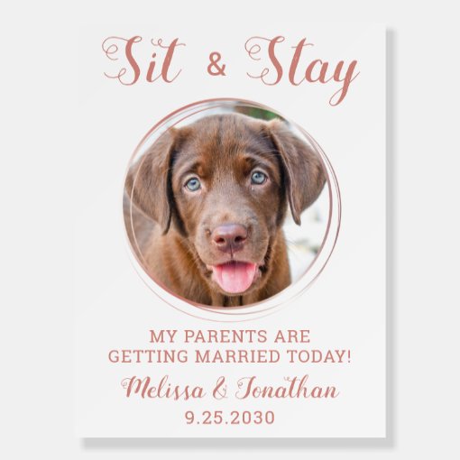 Elegant Rose Gold Dog Photo Welcome Pet Wedding Foam Board | Zazzle