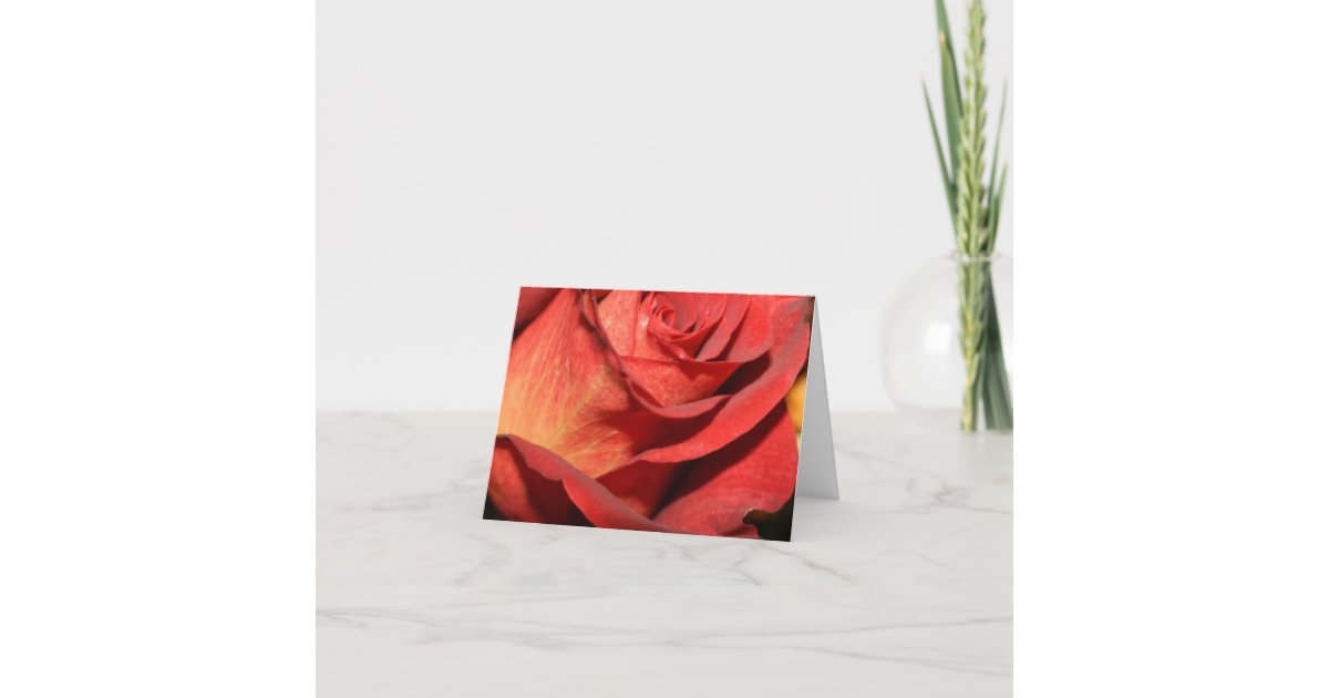 Elegant rose note cards | Zazzle