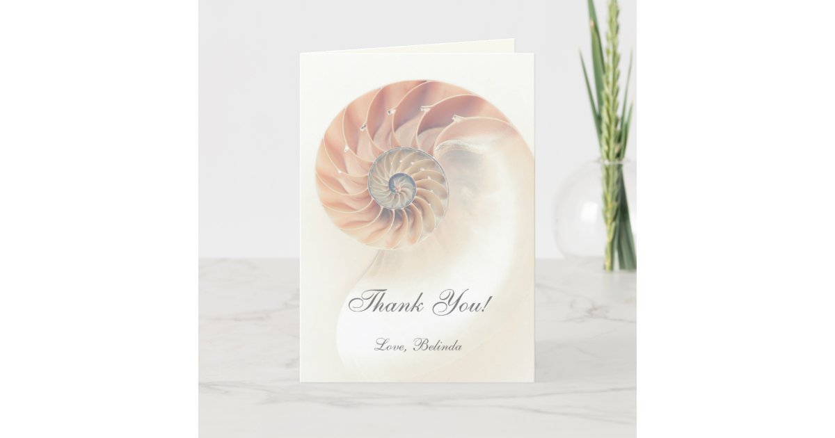Elegant Sea Shell Thank You Card | Zazzle