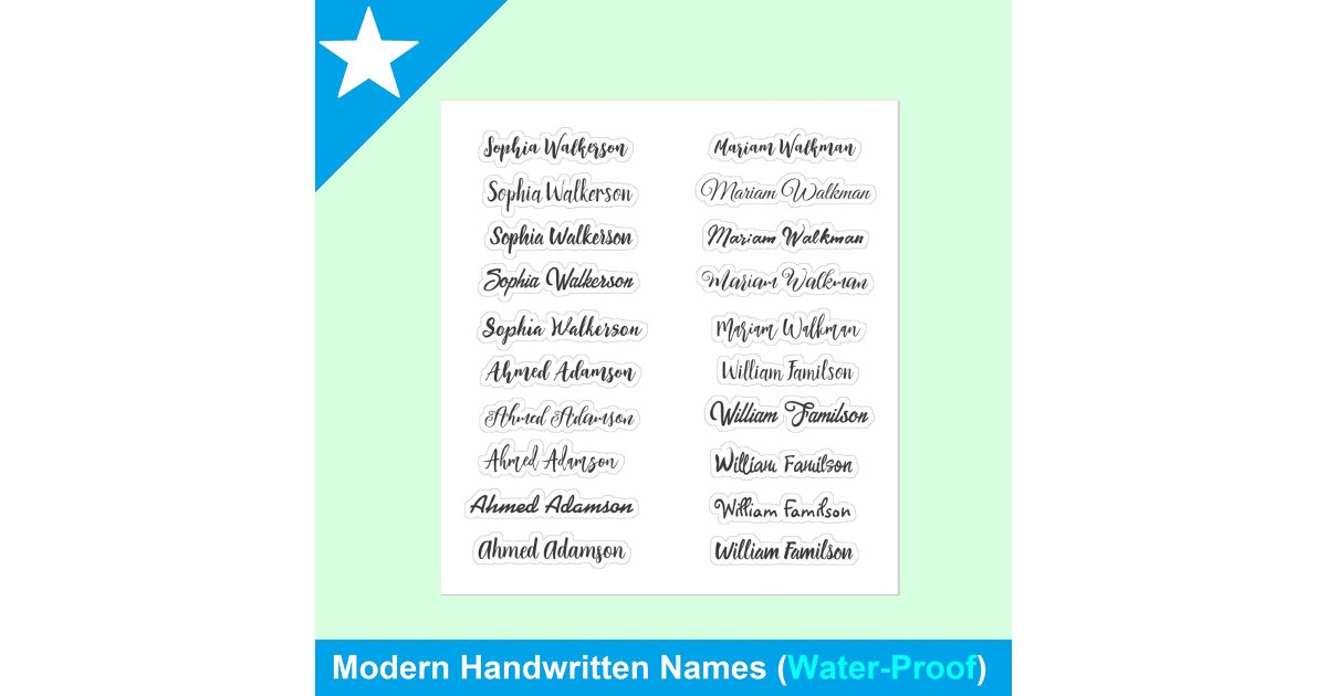(Elegant Set of 20) Handwritten Transparent Name Sticker | Zazzle