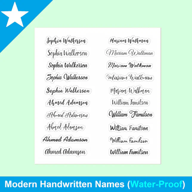 (Elegant Set of 20) Handwritten Transparent Name Sticker | Zazzle
