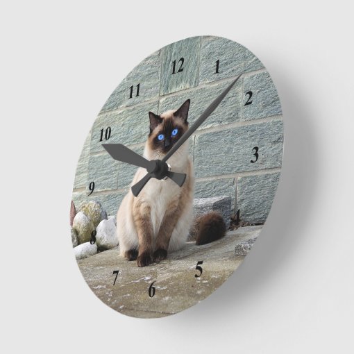 Elegant Siamese Cat Photo Round Clock | Zazzle