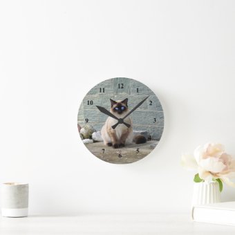 Elegant Siamese Cat Photo Round Clock | Zazzle