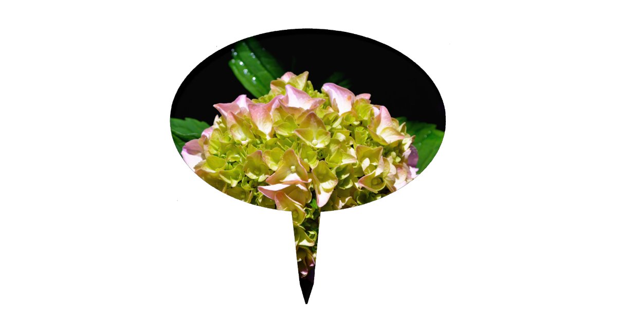 Elegant soft green pink floral hydrangeas cake topper | Zazzle