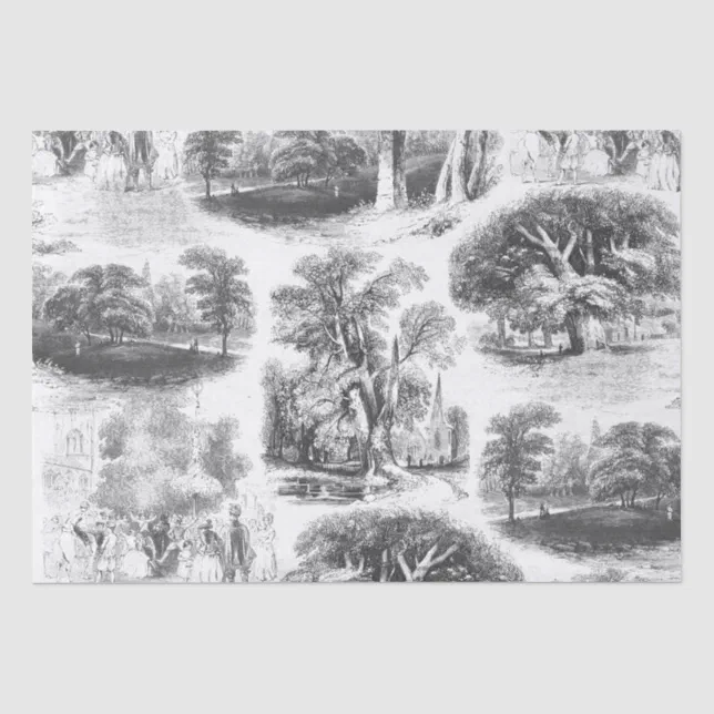 Elegant Vintage Black White Toile English Country Tissue Paper | Zazzle