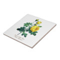 Elegant Vintage Botanical Yellow Rose Ceramic Tile | Zazzle