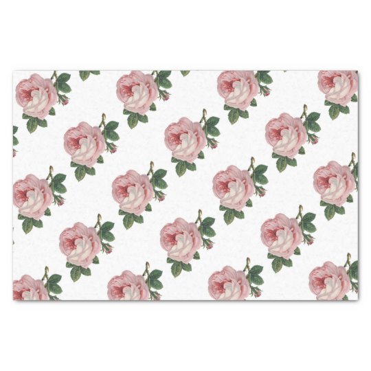 Elegant Vintage Floral Pink Rose Tissue Paper | Zazzle.com