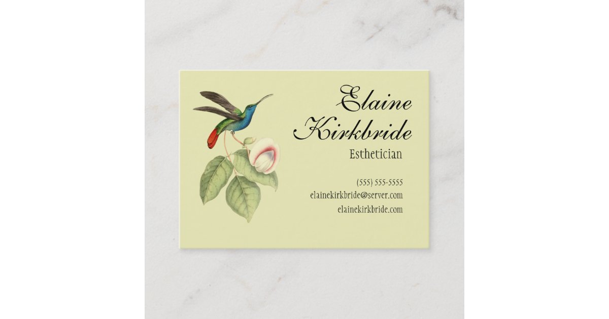 Elegant Vintage Hummingbird Salon Appointment | Zazzle