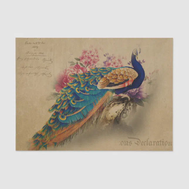 Elegant Vintage Peacock Tissue Paper | Zazzle