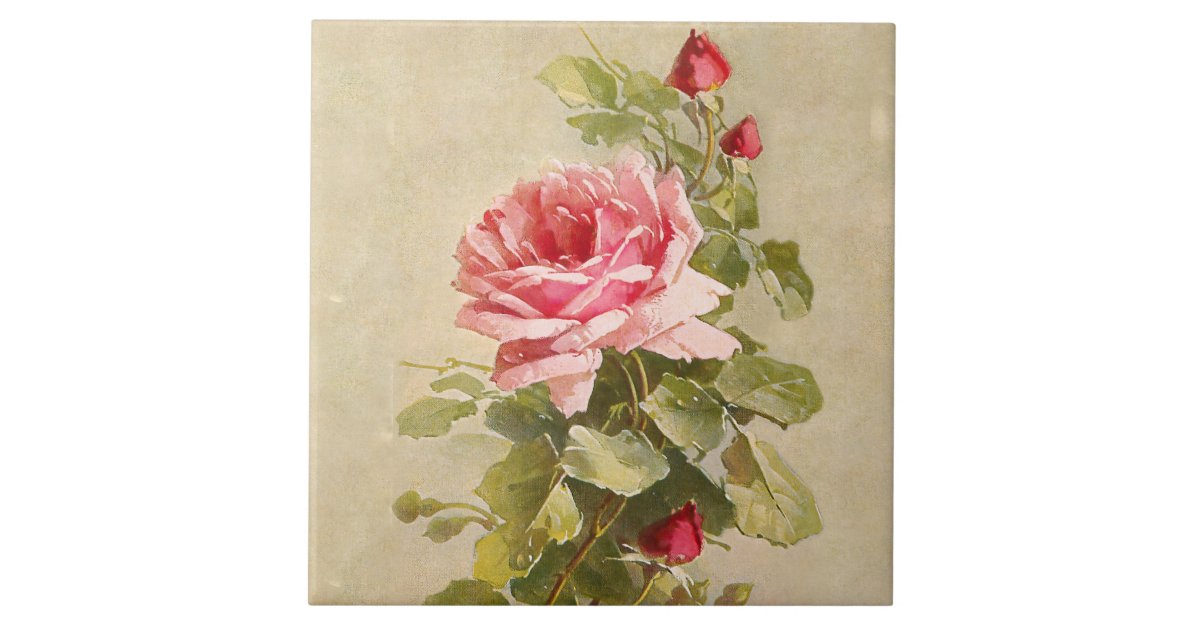 Elegant Vintage Pink Roses Ceramic Tile | Zazzle