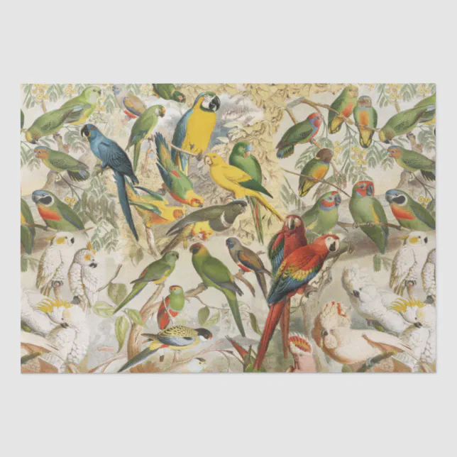 Elegant Vintage Tropical Birds Parrots Rainforest Tissue Paper | Zazzle