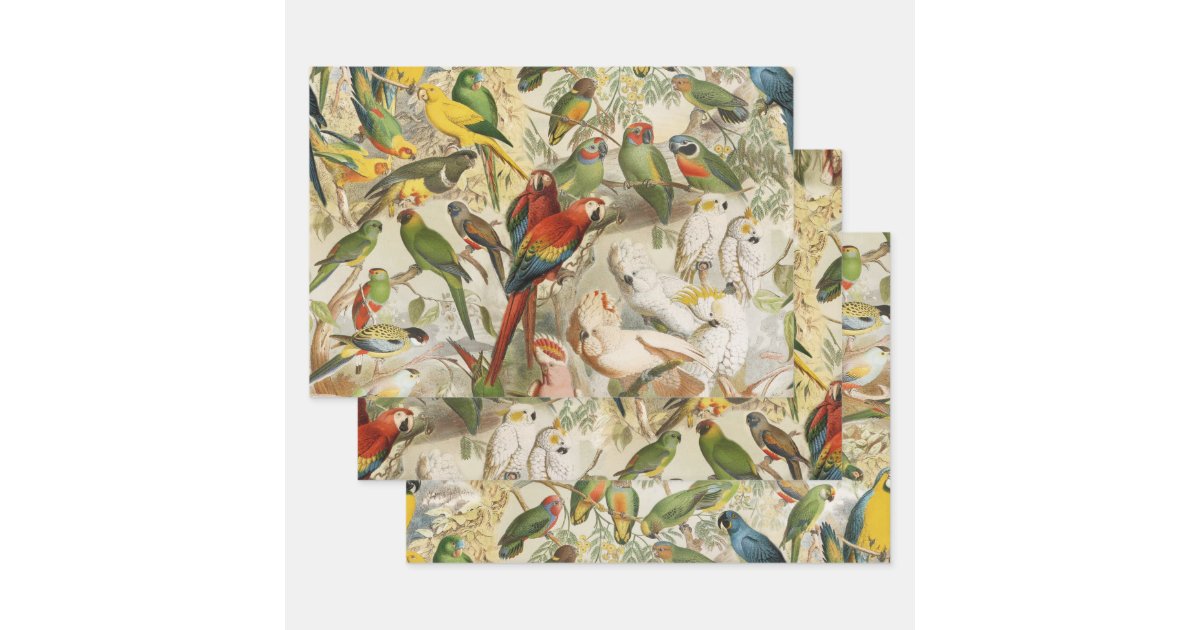 Elegant Vintage Tropical Birds Parrots Wrapping Paper Sheets | Zazzle