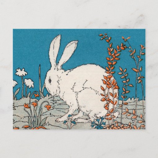 Elegant Vintage White Rabbit Postcard | Zazzle