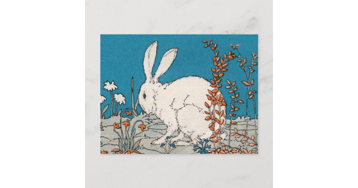 Elegant Vintage White Rabbit Postcard | Zazzle