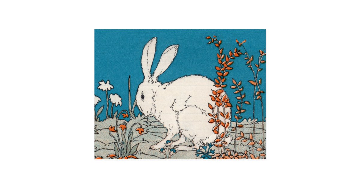 Elegant Vintage White Rabbit Postcard | Zazzle.com
