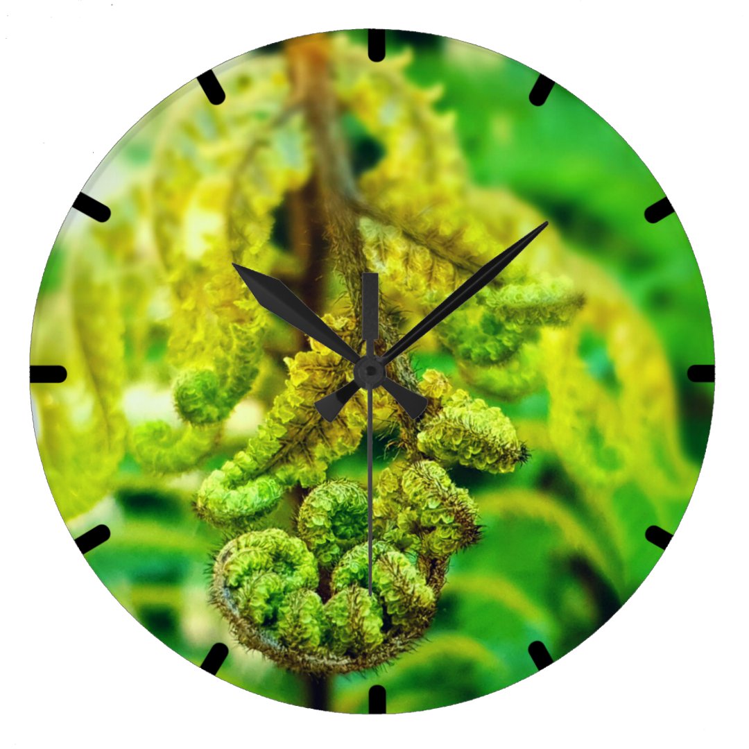 ELEGANT VIVID GREEN FERN PHOTO NEW ZEALAND KIWI LARGE CLOCK | Zazzle