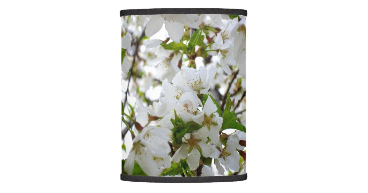 Elegant White Blossoms flowering tree Lamp Shade | Zazzle