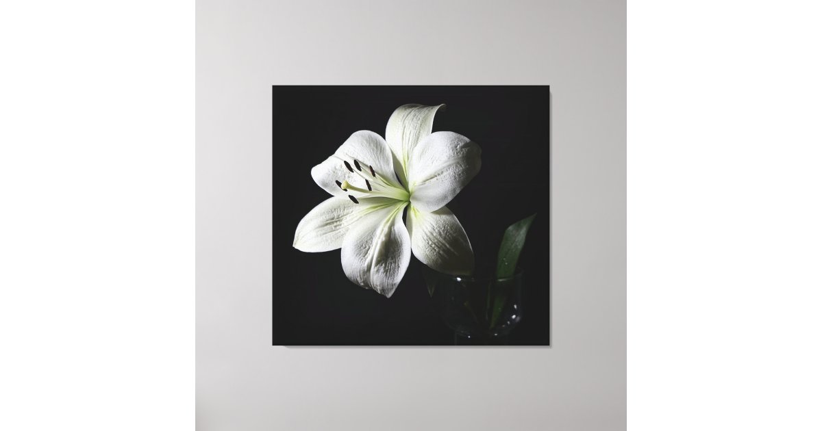 Elegant White Lily Wrapped Canvas Print | Zazzle