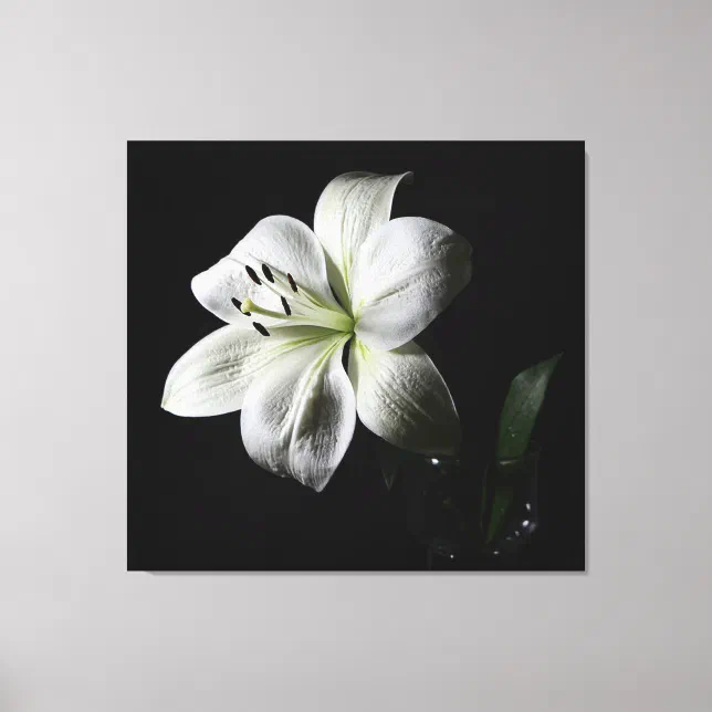 Elegant White Lily Wrapped Canvas Print | Zazzle