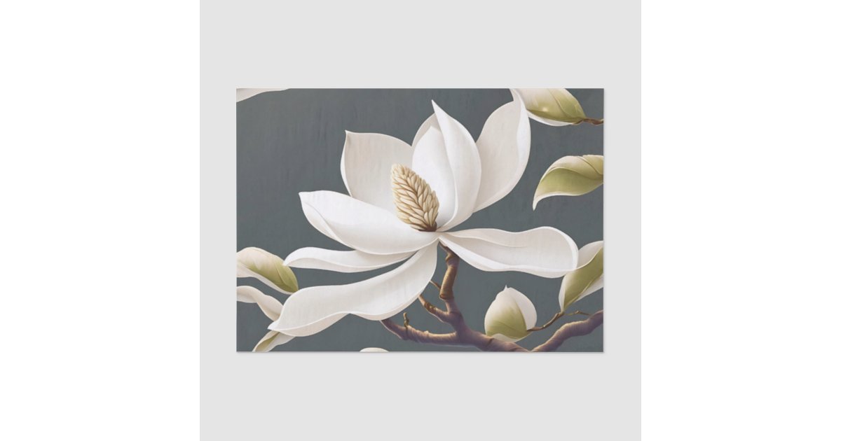 Elegant White Magnolia Flower Tissue Paper | Zazzle