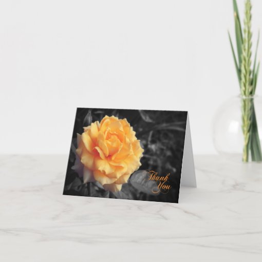 Elegant Yellow Rose Thank You Card | Zazzle