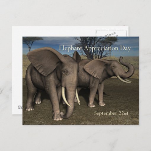 Elephant Appreciation Day PostCard September 22 | Zazzle