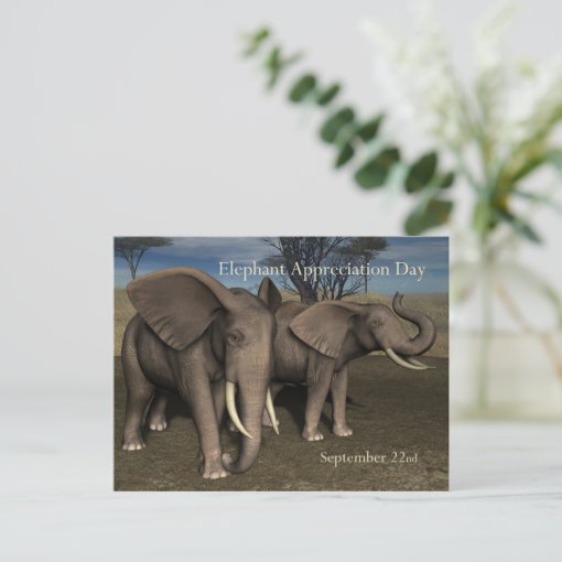 Elephant Appreciation Day PostCard September 22 | Zazzle