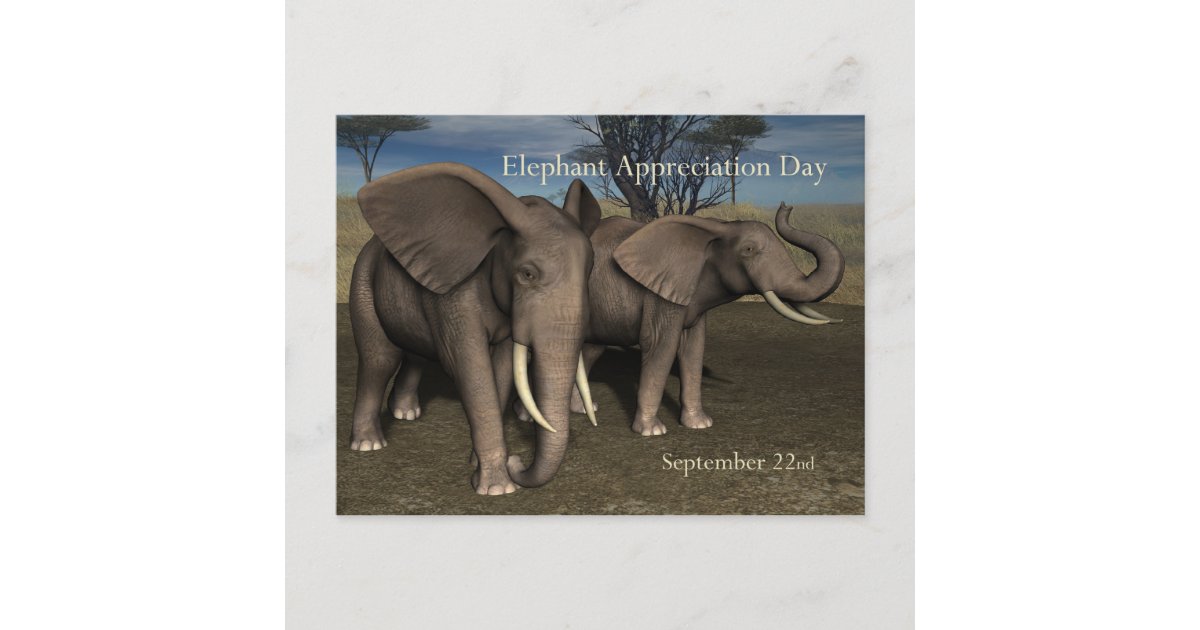 Elephant Appreciation Day PostCard September 22 | Zazzle