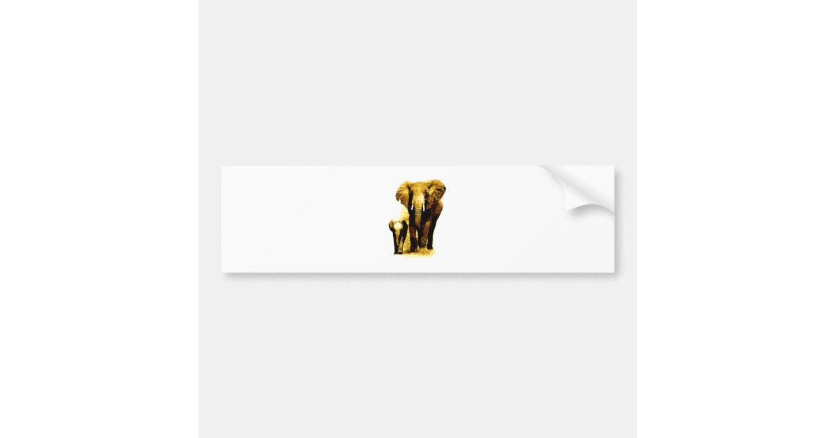 Elephant & Baby Elephant Bumper Sticker | Zazzle