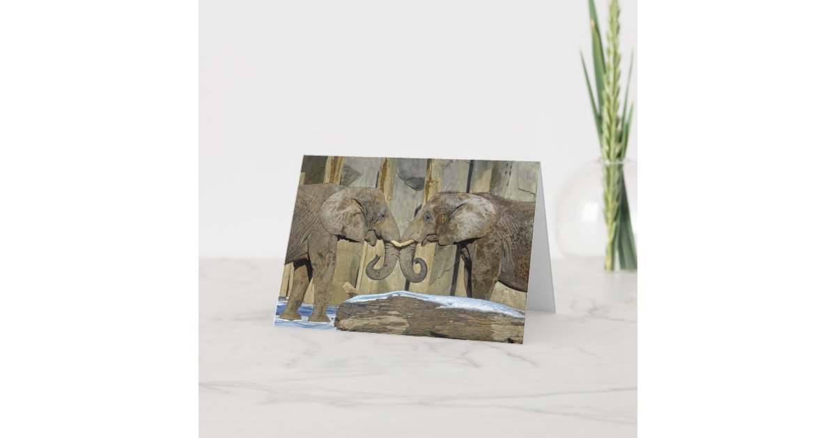 Elephant Best Friends Holiday Card | Zazzle