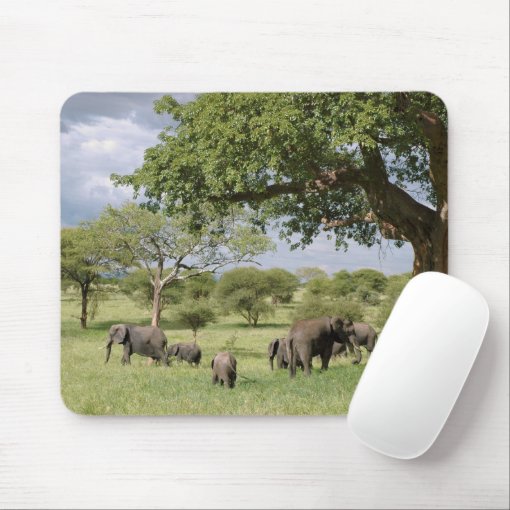 Elephant family mouse pad | Zazzle