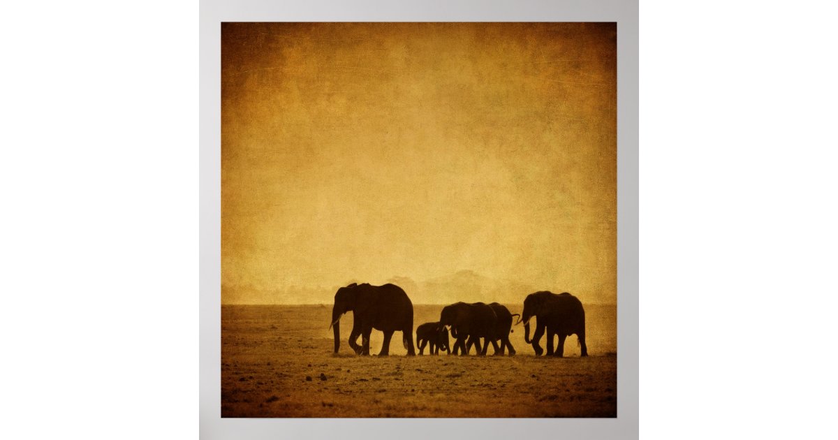 Elephant Family Poster | Zazzle