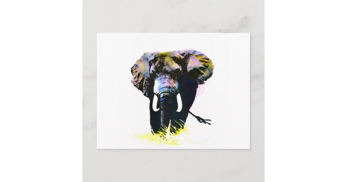 Elephant Postcard | Zazzle