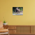 Elephant Poster | Zazzle