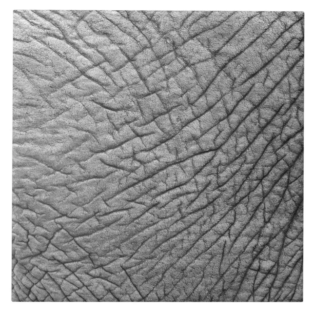Elephant skin tile | Zazzle