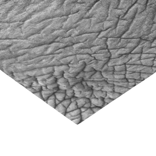 Elephant skin tissue paper | Zazzle