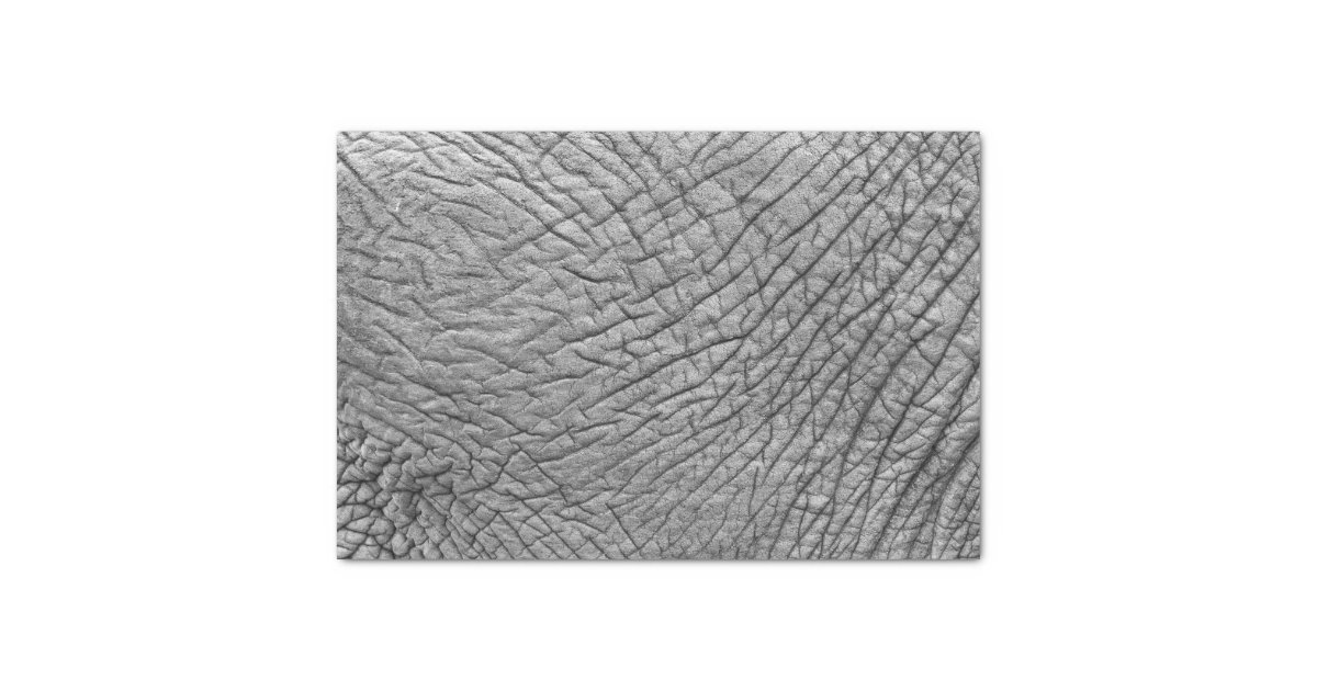 Elephant skin tissue paper | Zazzle