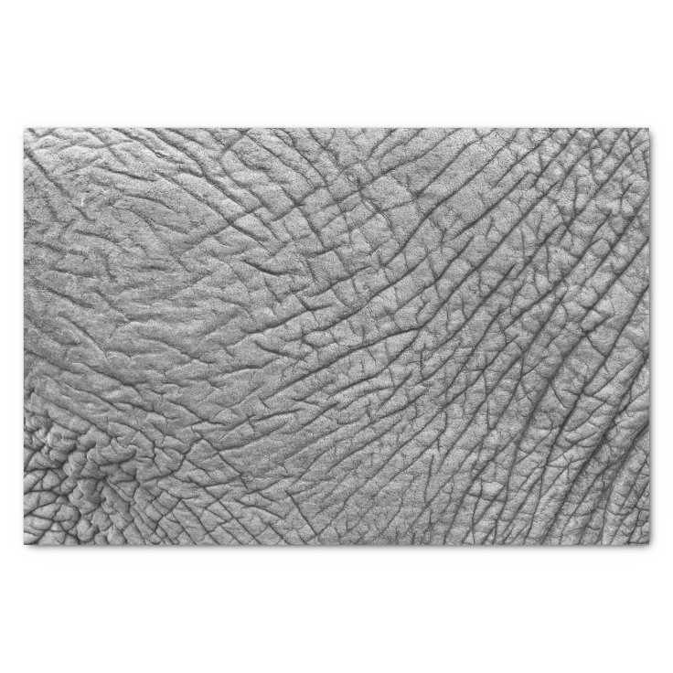 Elephant skin tissue paper | Zazzle