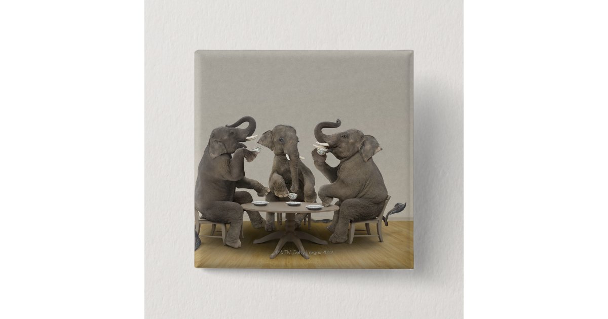 Elephants having tea party button | Zazzle