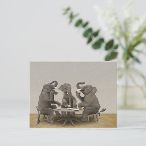 Elephants having tea party postcard | Zazzle